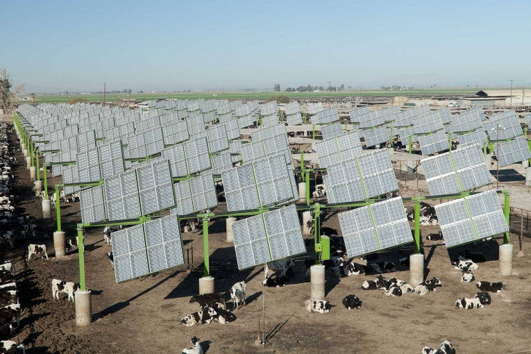 First cattle feedlot solar field and new e5 intelligent energy managem ...
